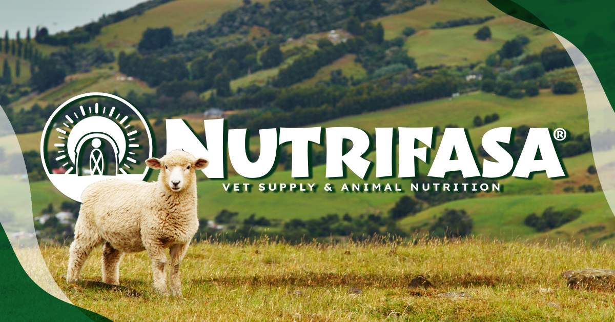 PEPTO LIV – NUTRIFASA